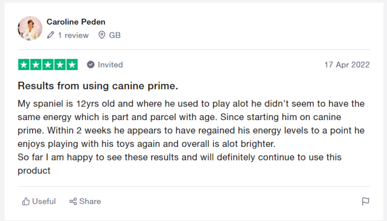 Canine Prime: See Real Reviews From UK Dog Owners - Your Pet Nutrition ...
